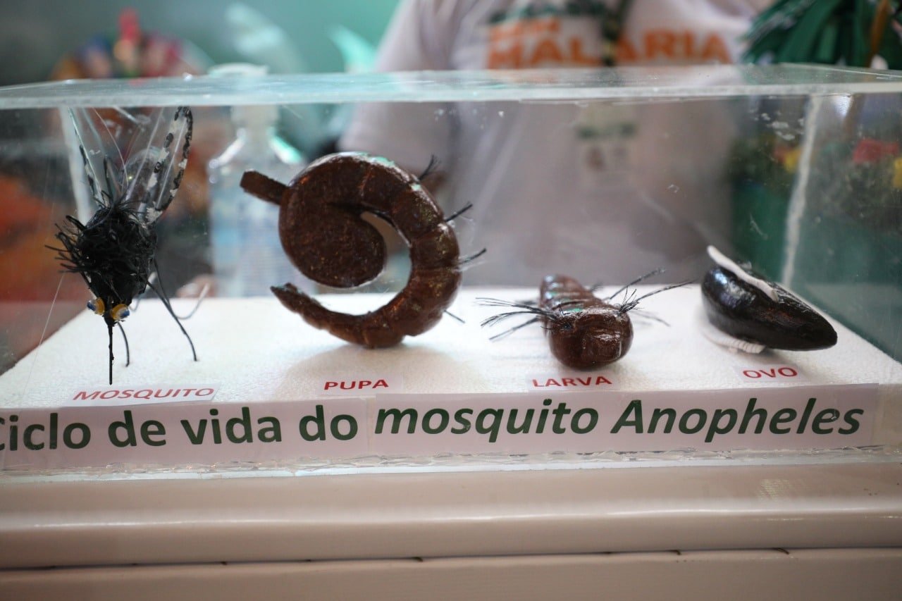 Amazonas registra redução nos casos de malária em 2021