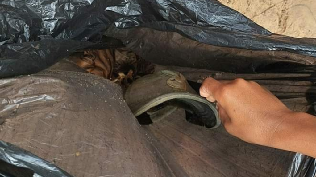 Restos mortais são encontrados debaixo de flutuante em praia no Amazonas