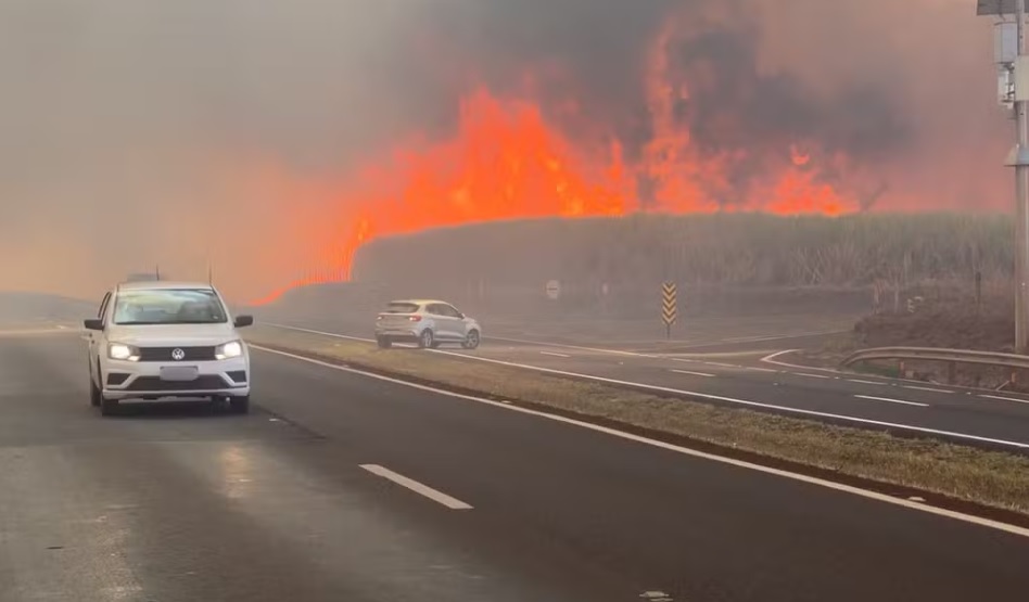 SP tem 36 cidades com alerta máximo de perigo para queimadas; veja lista